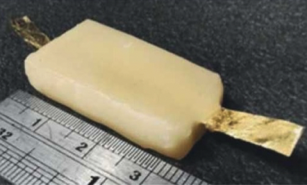 Robofood – The new science and technology of edible robots and robotic ...