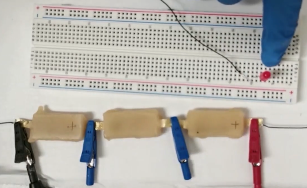 Robofood – The new science and technology of edible robots and robotic ...