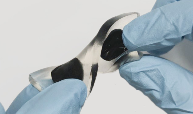 Robofood – The new science and technology of edible robots and robotic ...