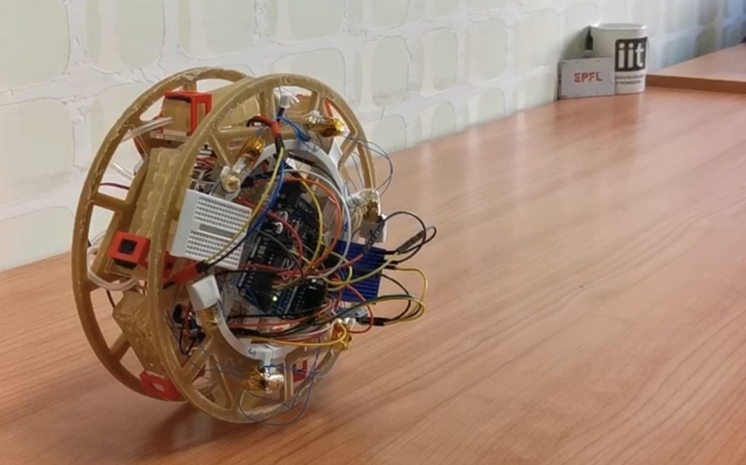 Robofood – The new science and technology of edible robots and robotic ...