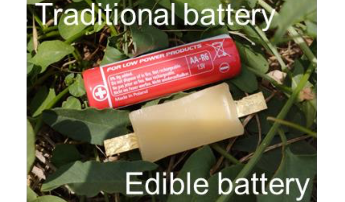 Robofood – The new science and technology of edible robots and robotic ...