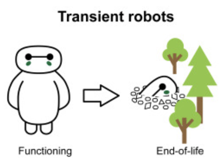 Robofood – The new science and technology of edible robots and robotic ...