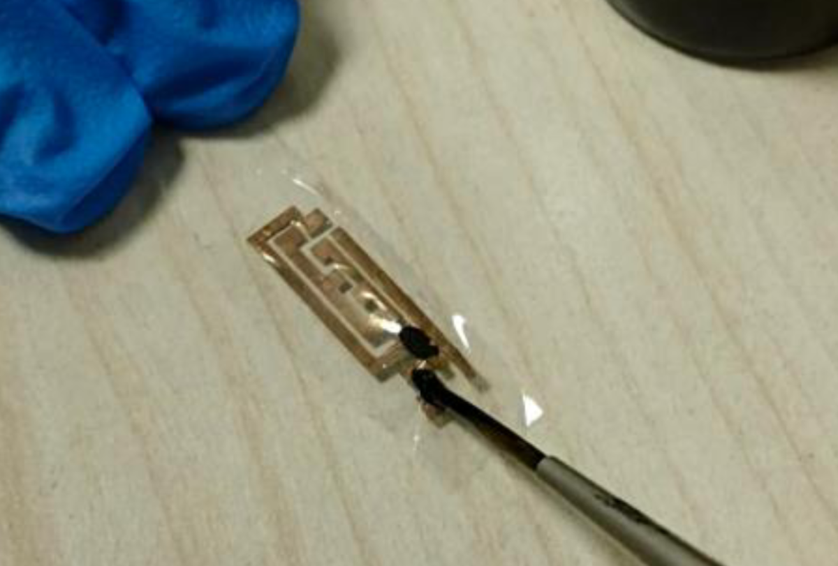 Robofood – The new science and technology of edible robots and robotic ...