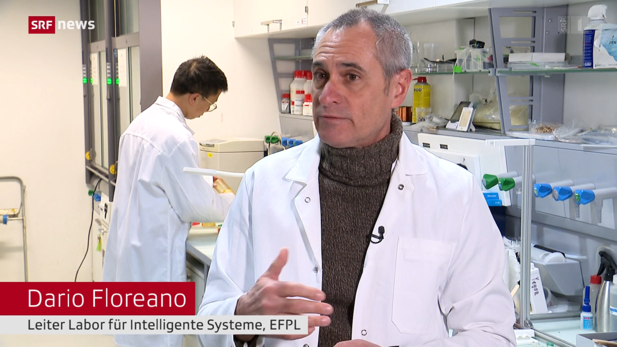 Robofood – The new science and technology of edible robots and robotic ...