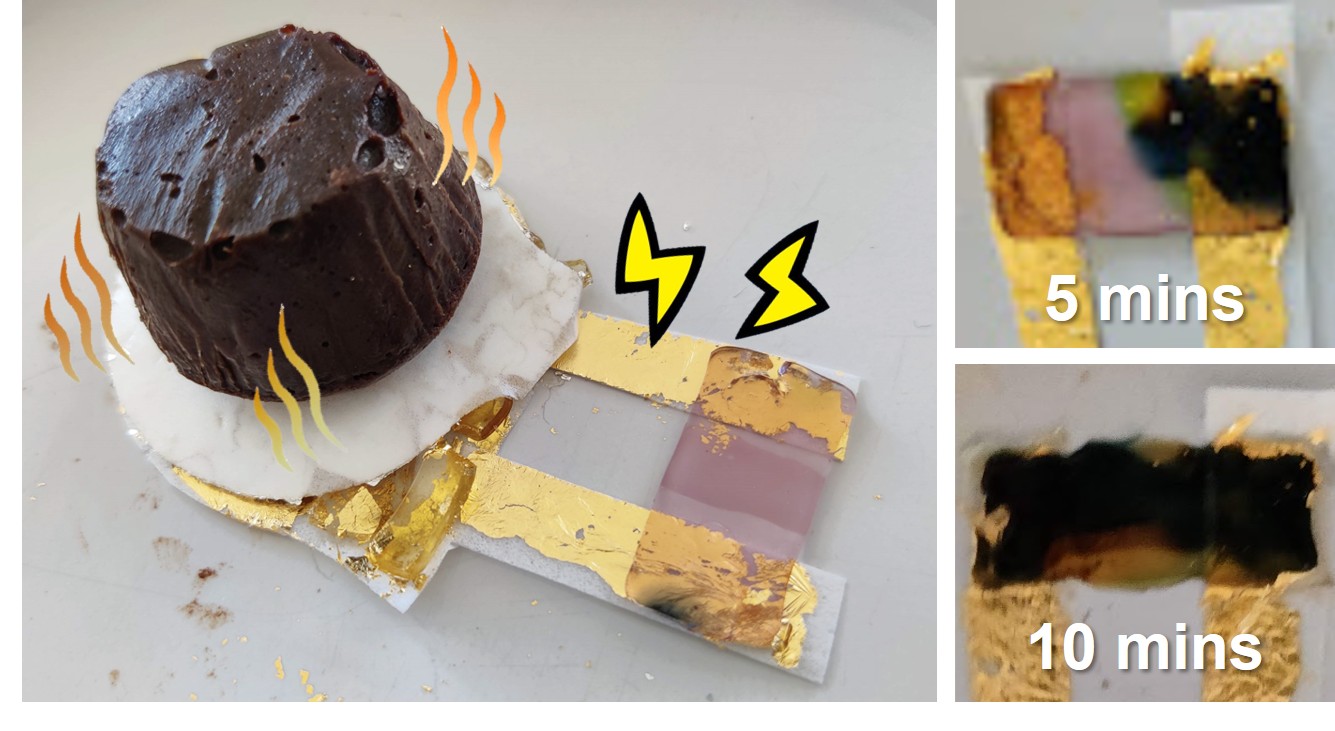 Robofood – The new science and technology of edible robots and robotic ...